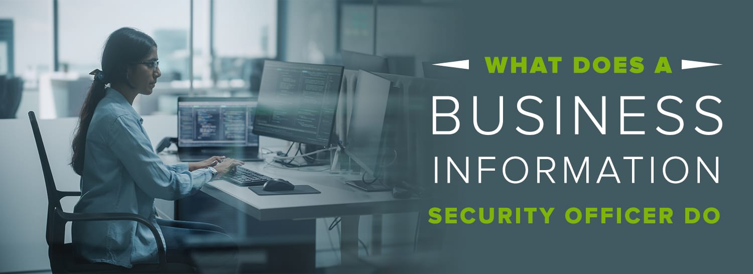 Exploring the Role & Responsibilities of a Business Information ...